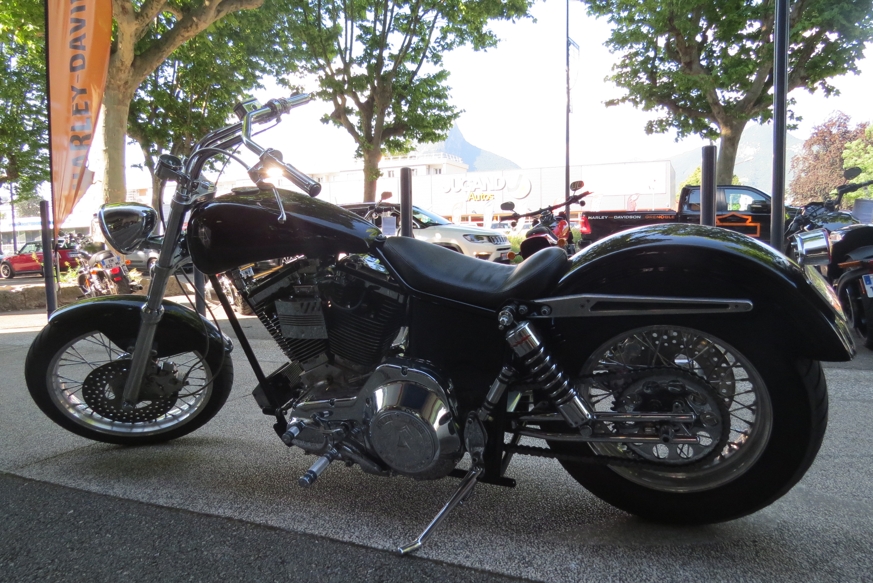 ARLEN NESS FXR - Harley-Davidson Grenoble